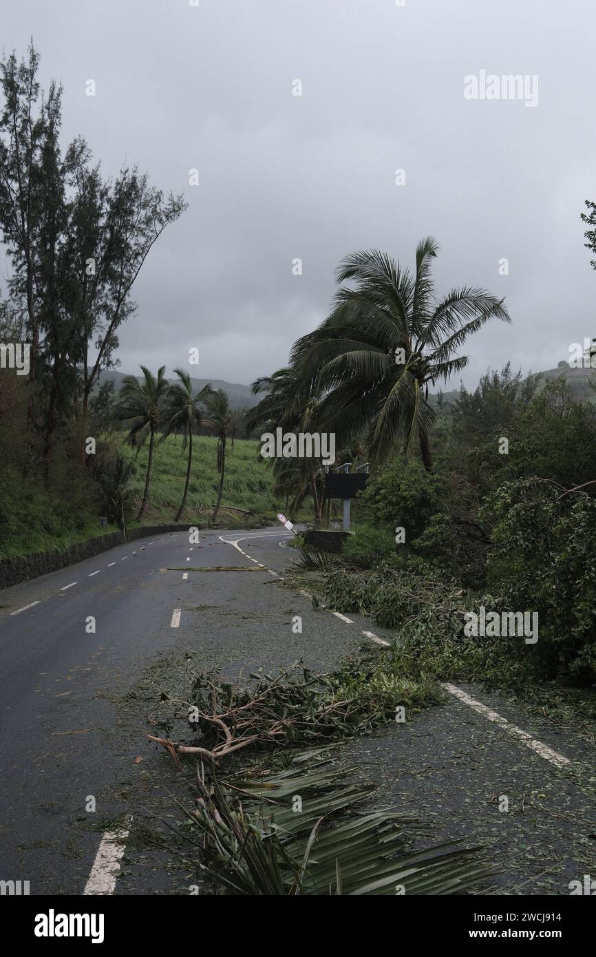 Reunion. 16th Jan, 2024. Atmosphere after the passage of cyclone Belal ...