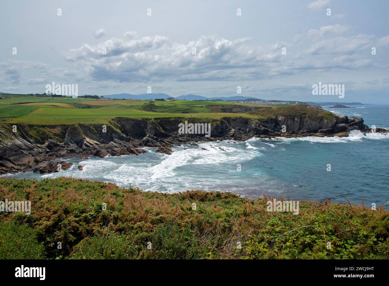 scenic coastal landscape with green fields, rocky cliffs, and a vibrant ...