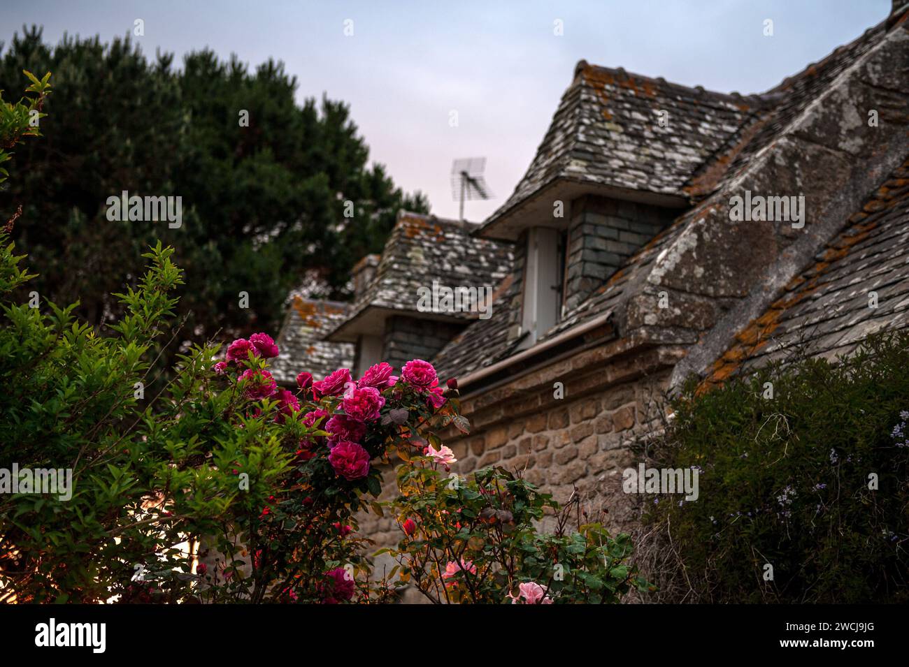 Bretagne landscape hi-res stock photography and images - Alamy