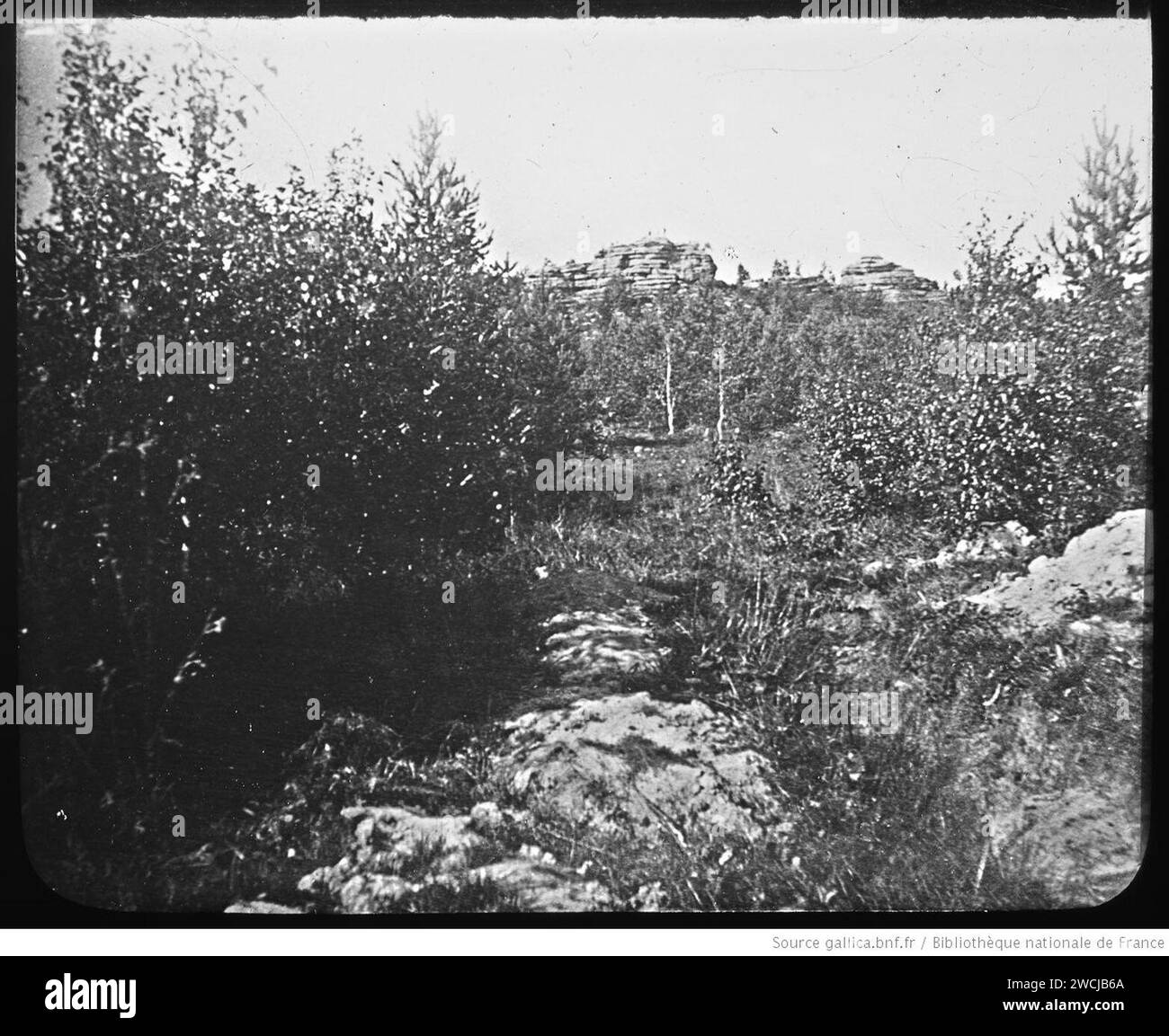 Palati Black and White Stock Photos & Images - Alamy