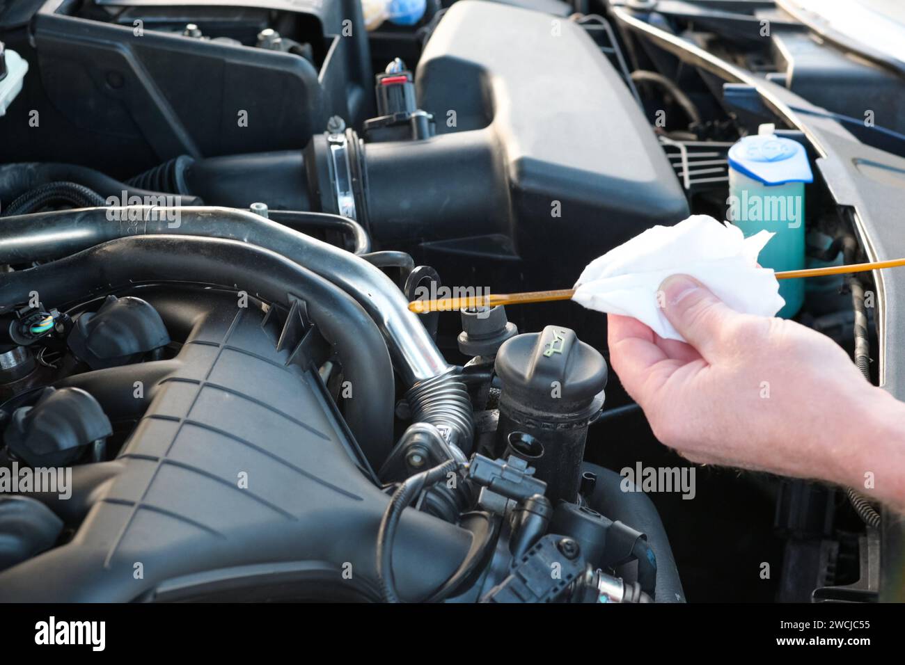 the mechanic checks the oil level in the car, close-up view and on a ...