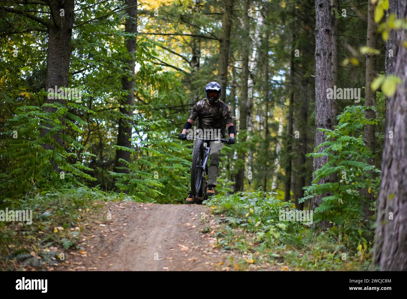 Professional athlete high jump on a mountain bike in the forest, close ...