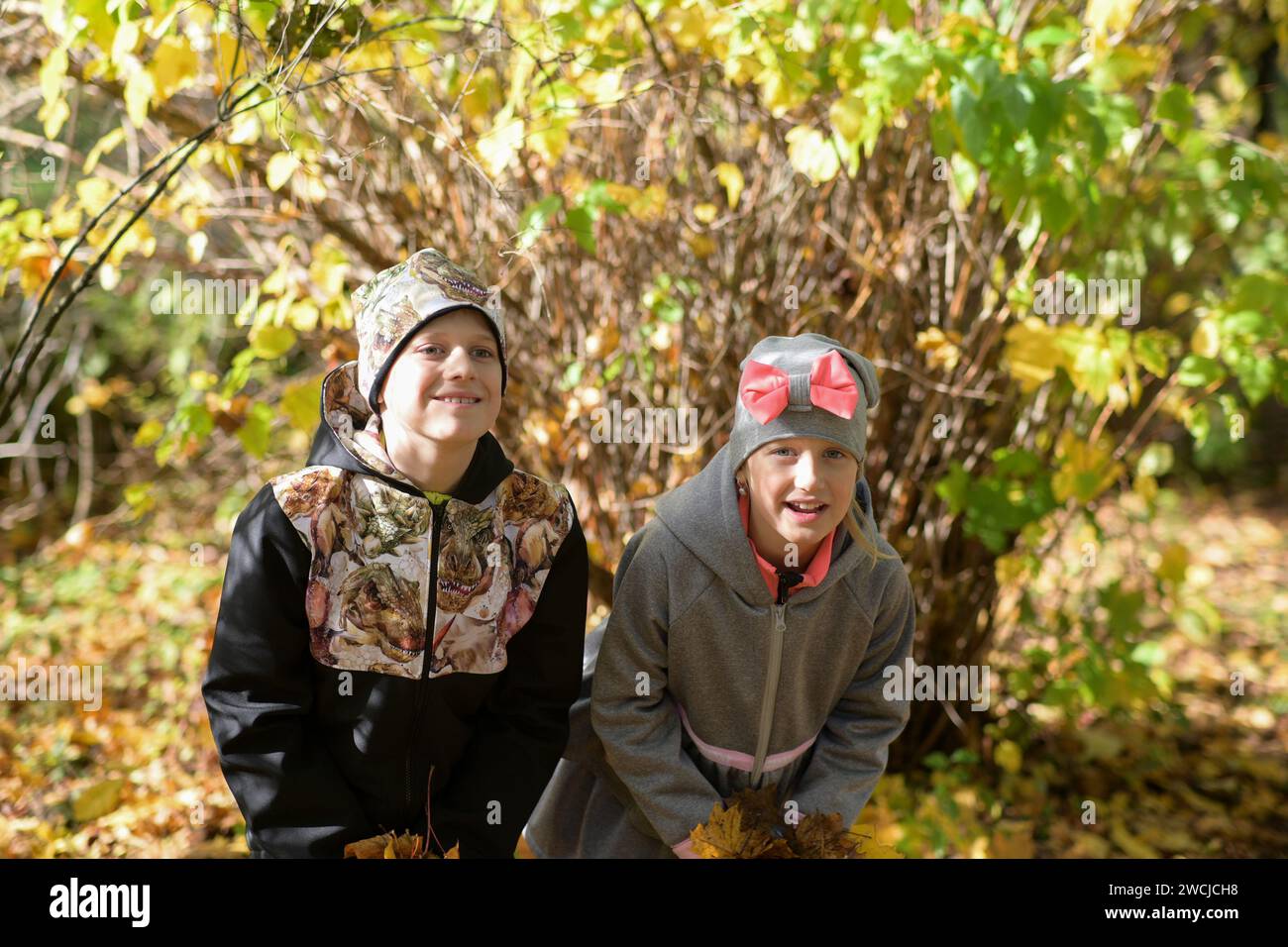 two smiling siblings brother and sister are throwing leaves fallen from ...