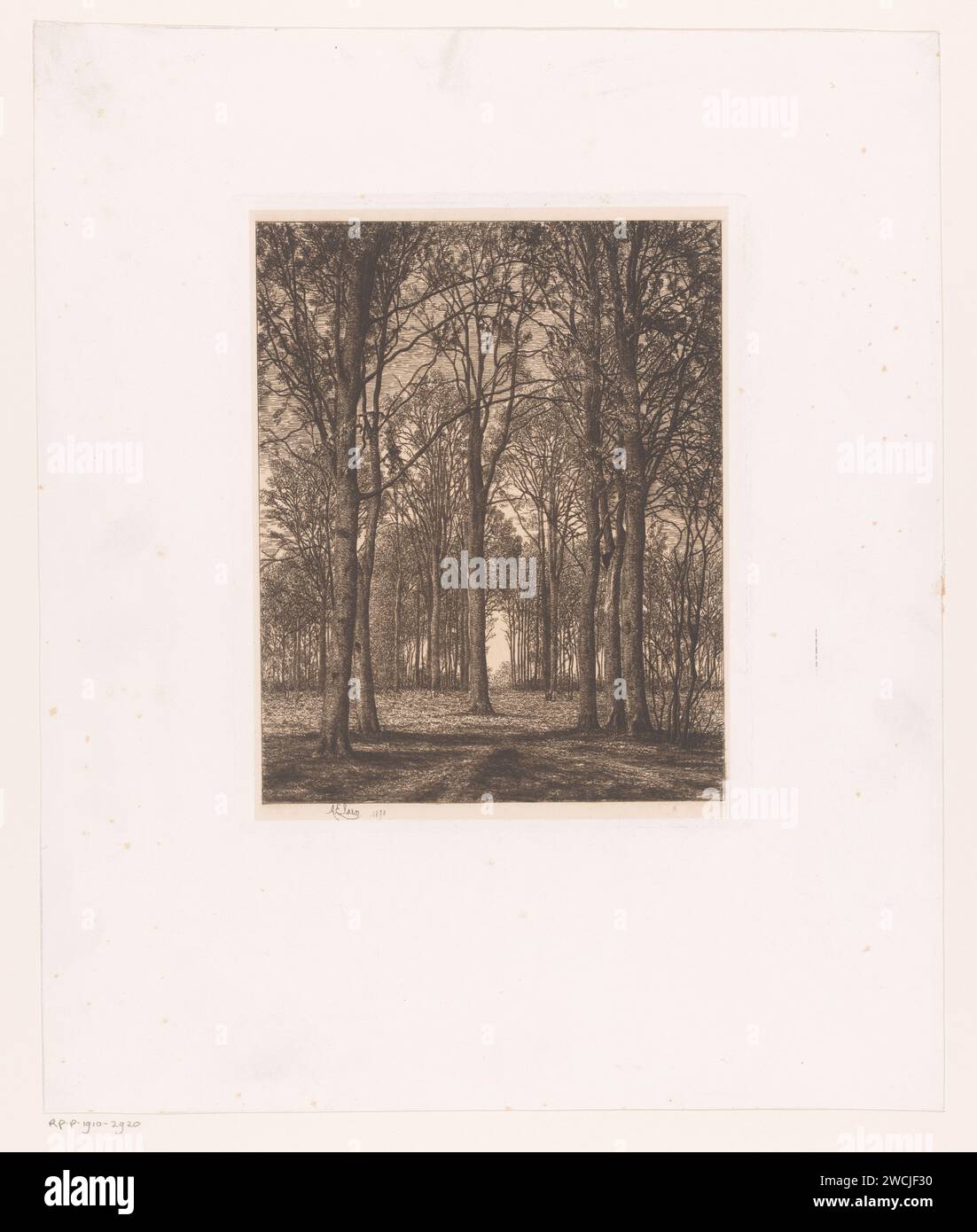 Landscape with trees, Alfred Elsen, 1878 print paper. etching forest ...