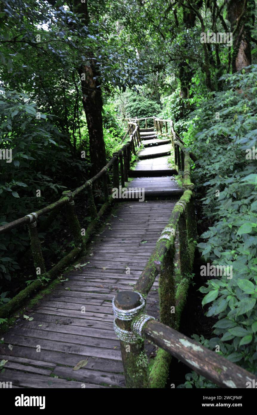 Doi inthanon route hi-res stock photography and images - Alamy