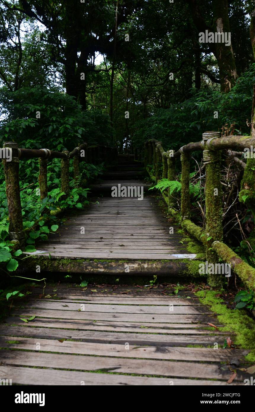 Doi inthanon route hi-res stock photography and images - Alamy