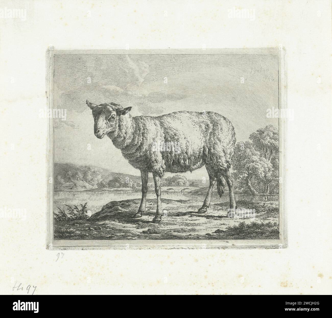 Standing Schaap, and Profil, Frédéric Théodore Faber, 1842 print ...