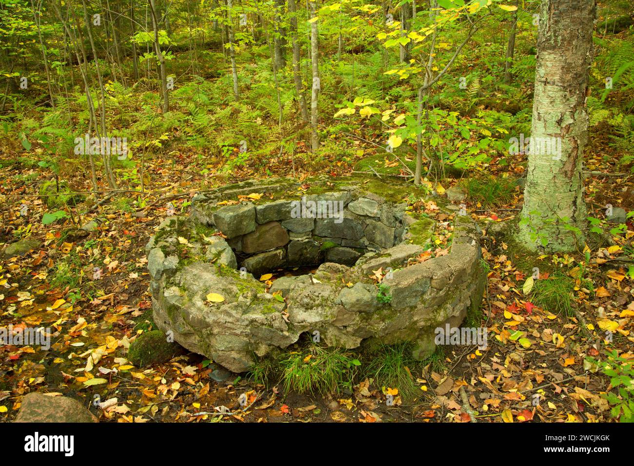 Civilian Conservation Corps (CCC) campground ruins along St Peters Dome ...