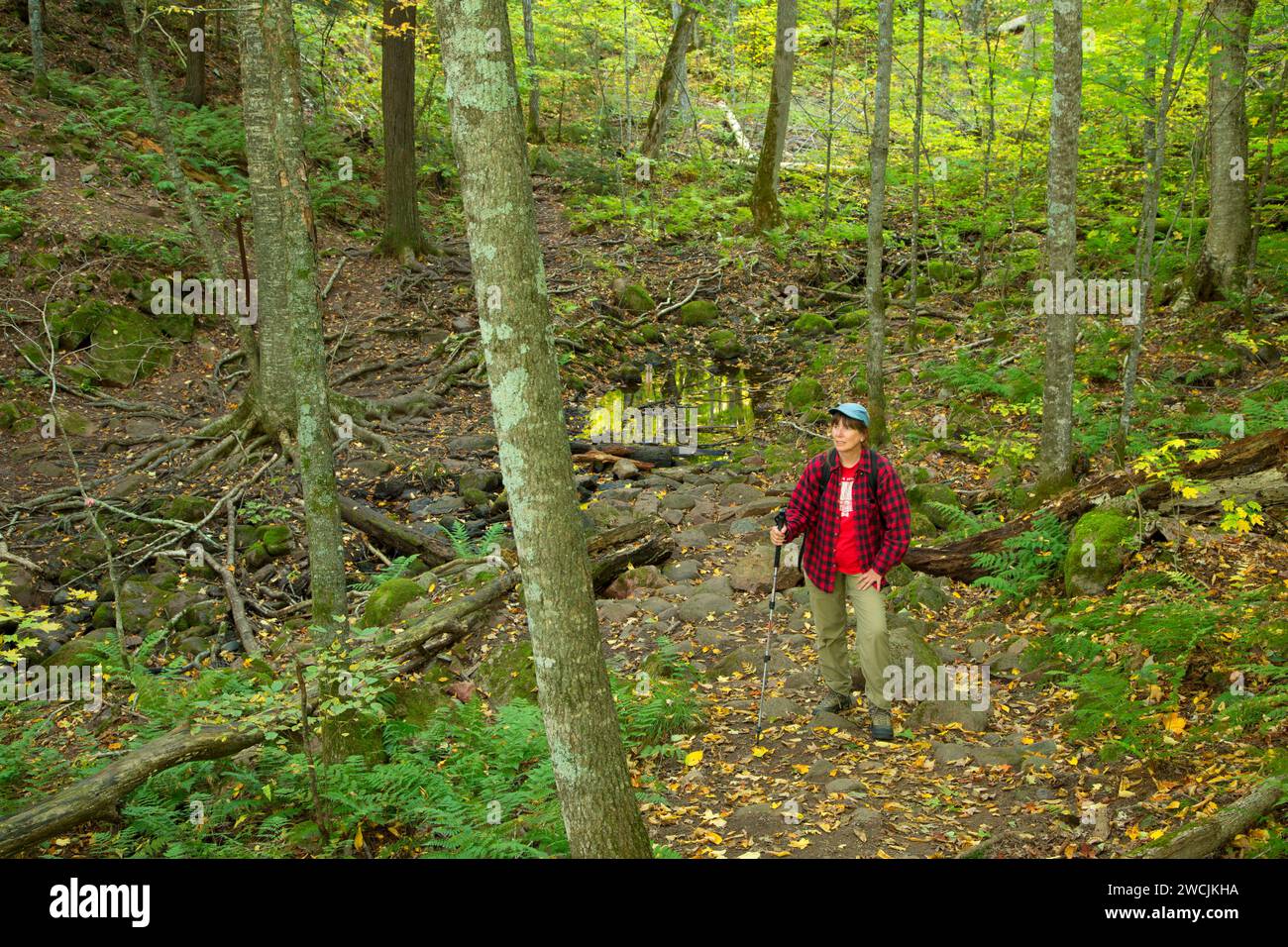 St Peter’s Dome Trail, St Peters Dome Management Area, Chequamegon ...
