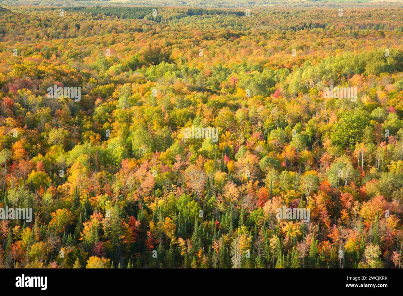 St Peters Dome view, St Peters Dome Management Area, Chequamegon ...