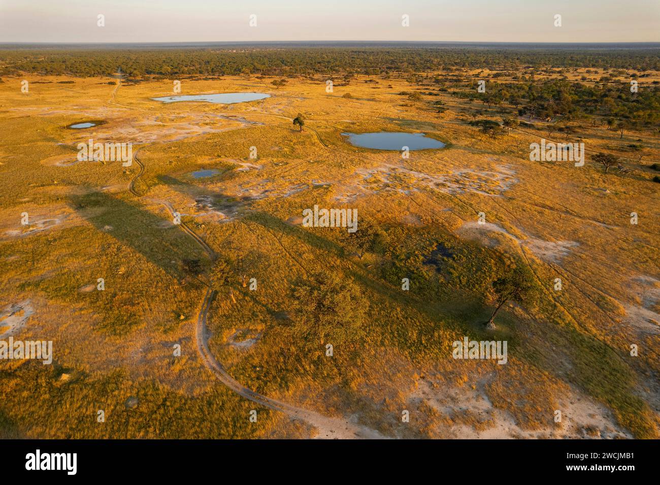An aerial view of Ngweshla pan, Hwange National park, Zimbabwe Stock ...