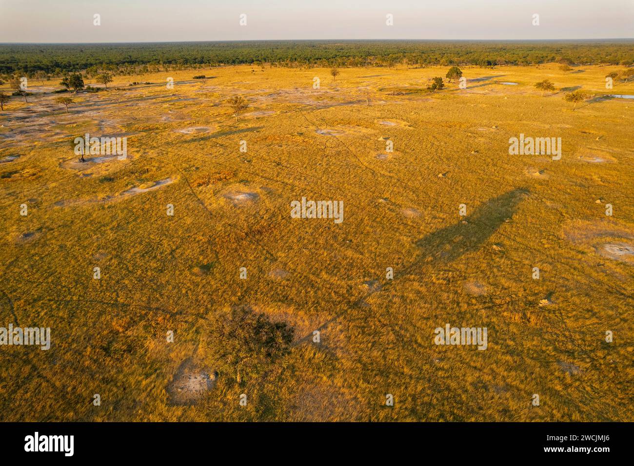 An aerial view of an open plain in Zimbabwe's Hwange National Park ...