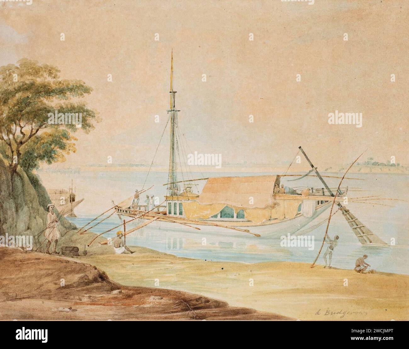 Budgerow hi-res stock photography and images - Alamy