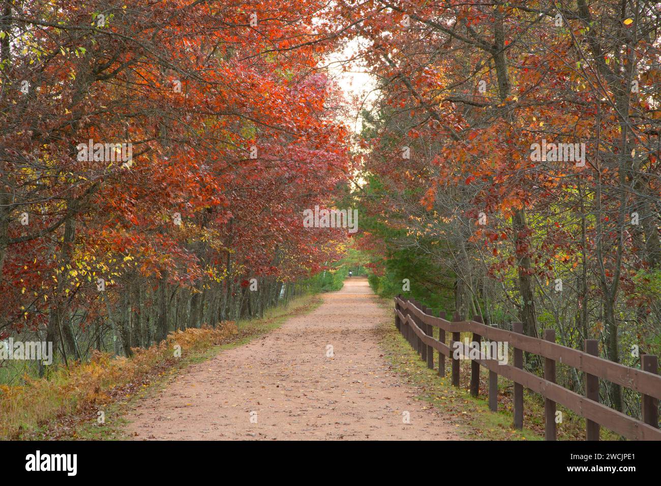 Rail Trail, Bearskin State Trail, Minocqua, Wisconsin Stock Photo - Alamy