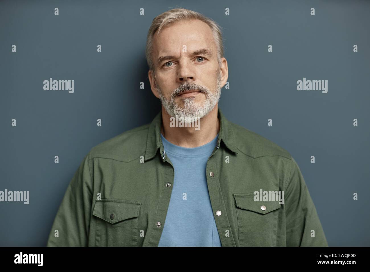 Serious grey hair handsome hi-res stock photography and images - Alamy