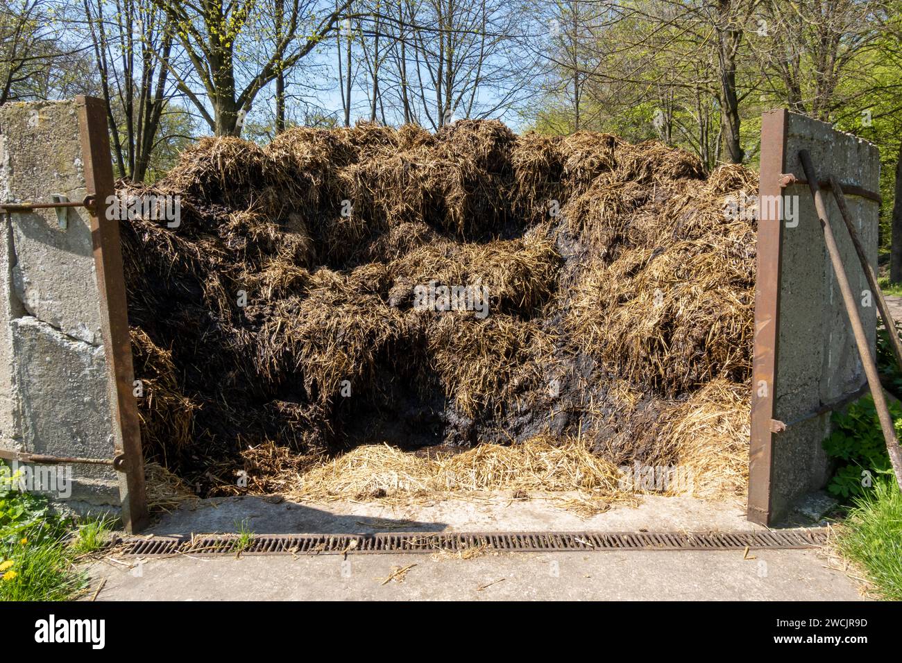 Dunghill of manure, organic fertilizer, between stone walls ...