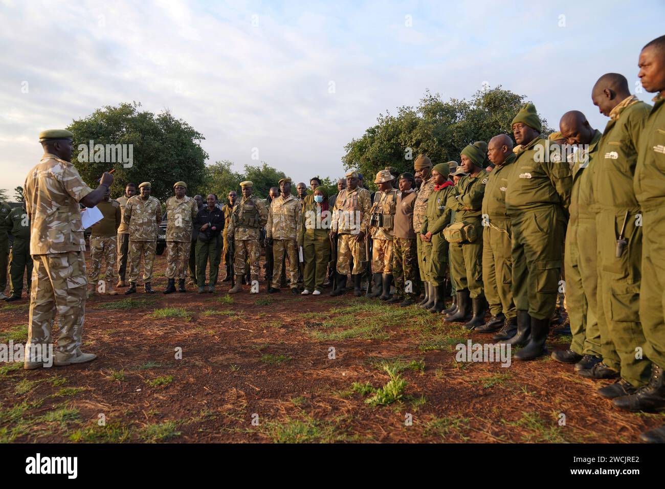 Kenya Wildlife Service rangers hold a briefing before injecting drugs ...