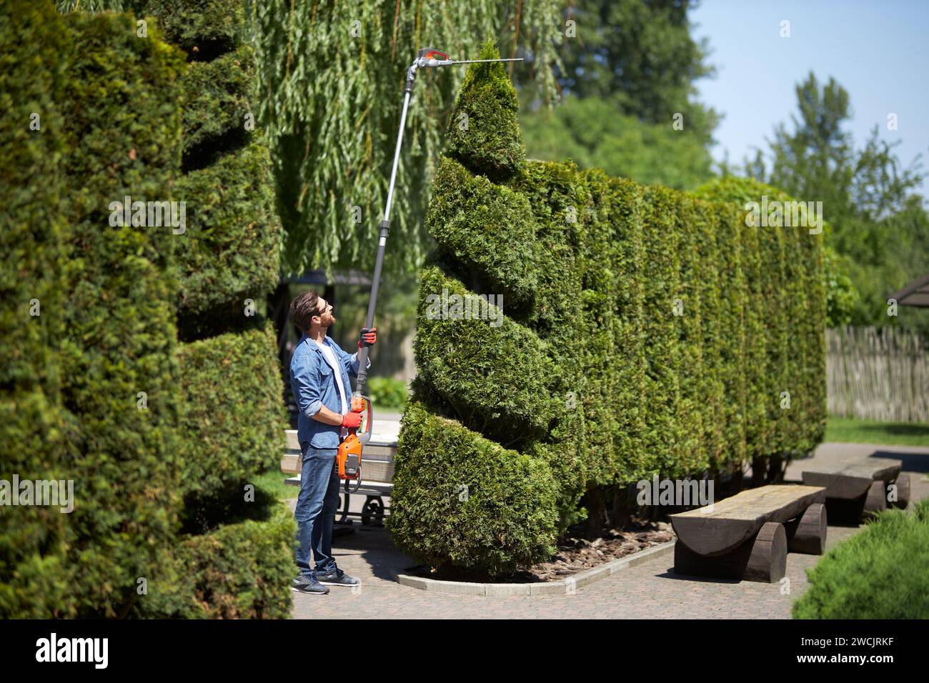Strong man in casual outfit using electric trimmer for cutting conifer ...
