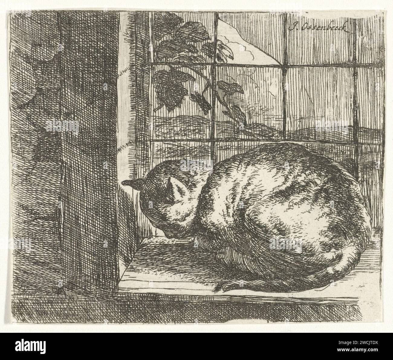 Cat in the window frame, Jan van Ossbeeck, 1647 - 1674 print unknown ...