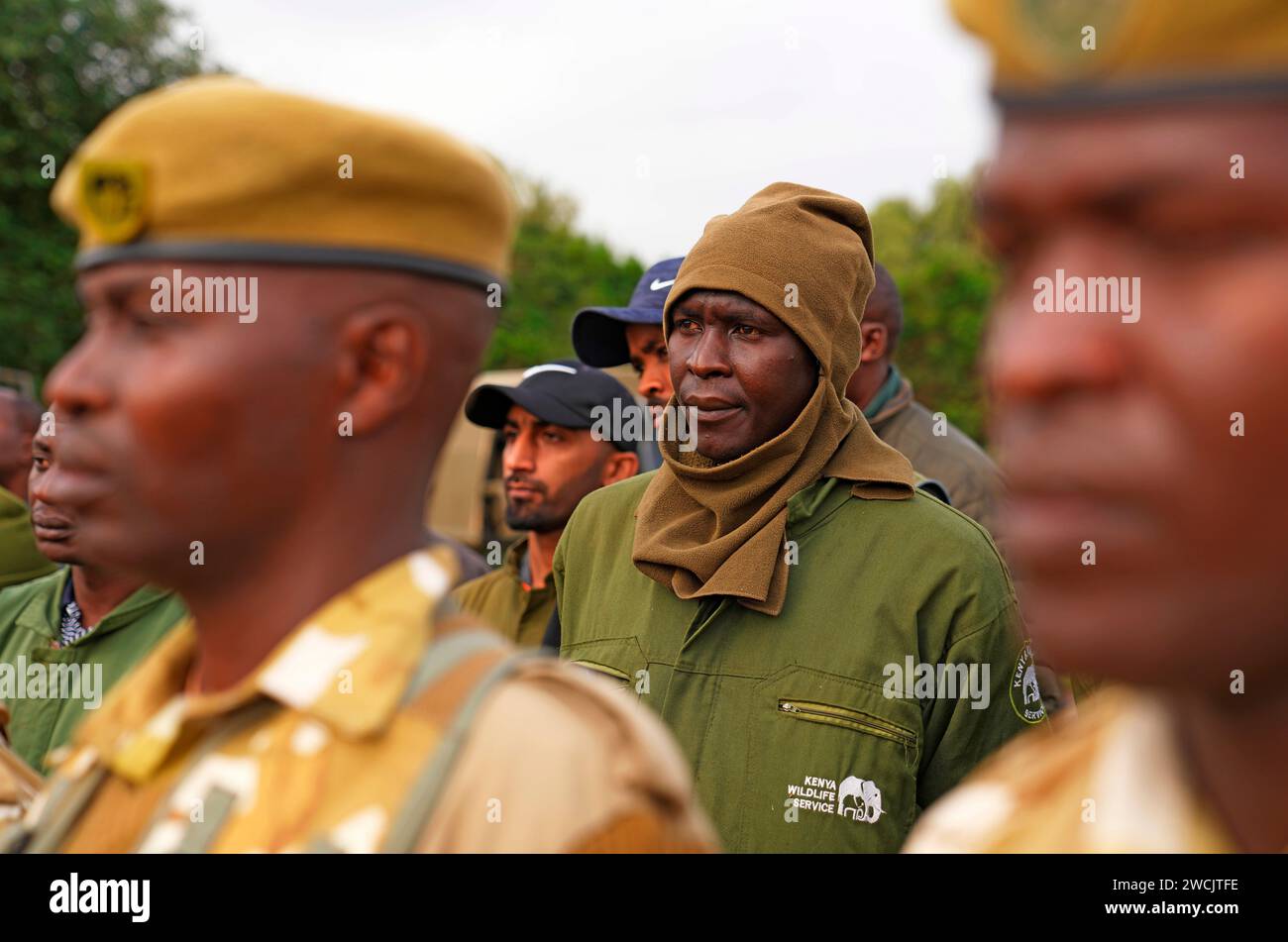Kenya Wildlife Service rangers hold a brief before injecting drugs to ...