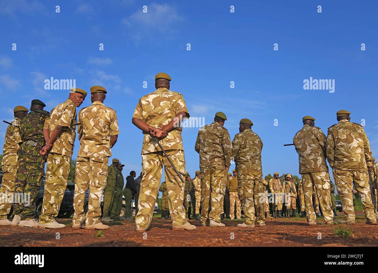 Kenya Wildlife Service rangers hold a brief before injecting drugs to ...