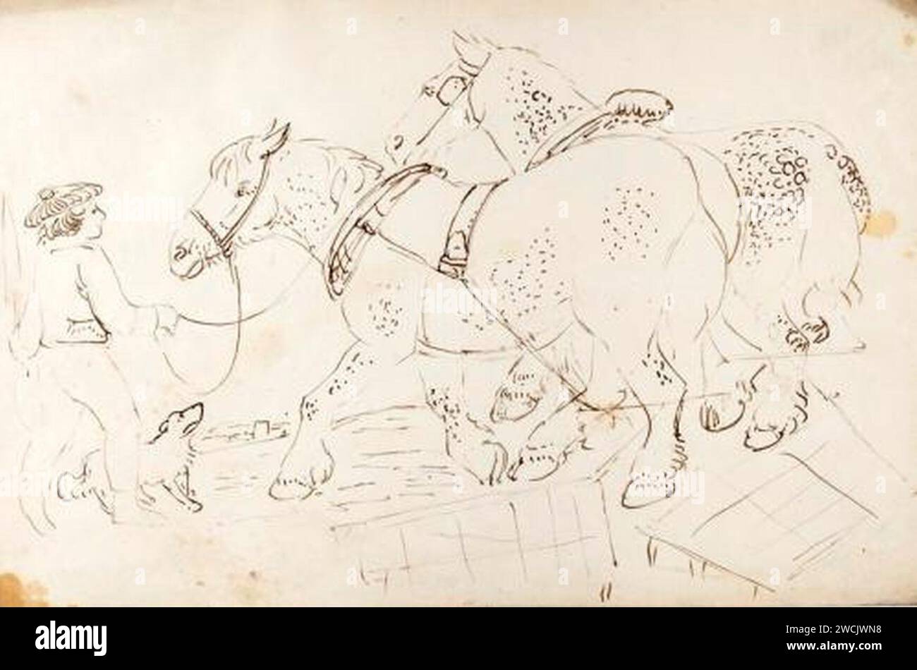 Howe dog hi-res stock photography and images - Alamy