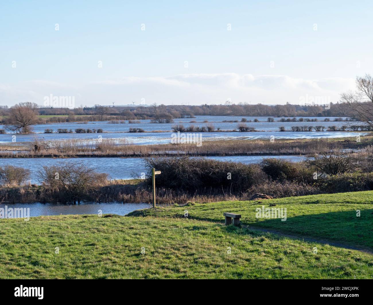 View over annually flooded meadows at Wheldrake Ings Nature Reserve ...