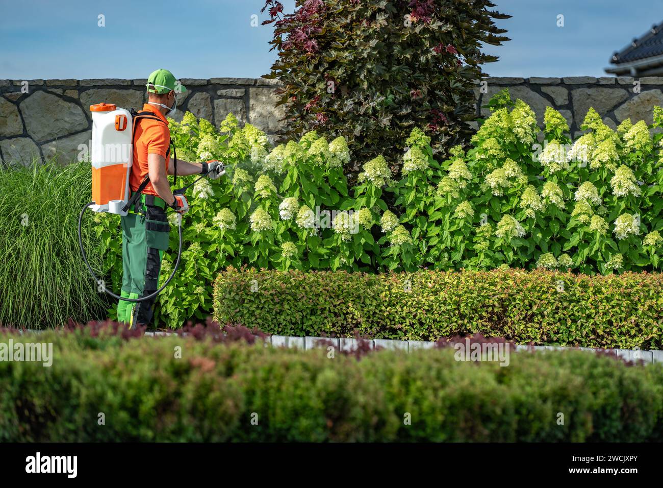 Professional Caucasian Garden Worker Insecticide Backyard Garden Plants ... Professional Caucasian Garden Worker Insecticide Backyard Garden Plants ...