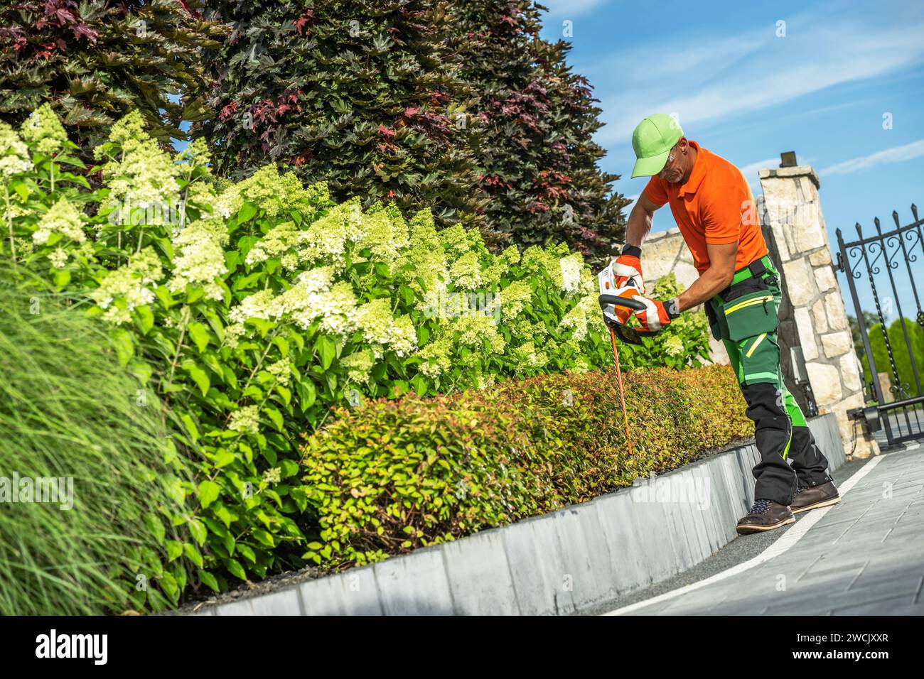 Landscaping Worker Shaping Driveway Side Plants Using Electric Hedge ...