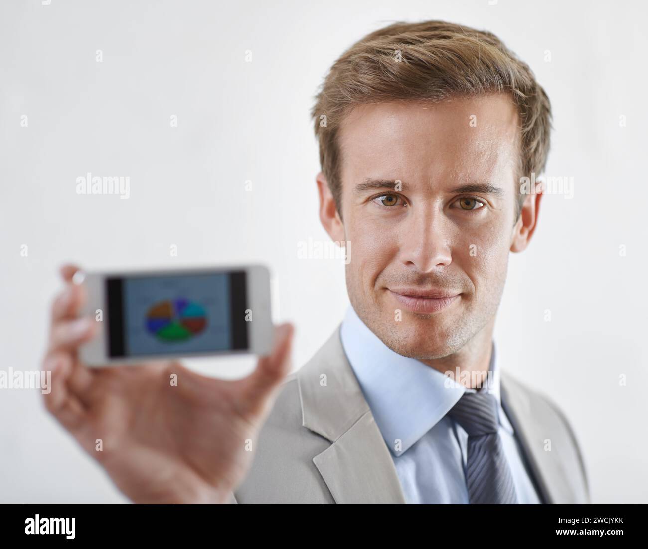 Accounting software pie chart hi-res stock photography and images - Alamy