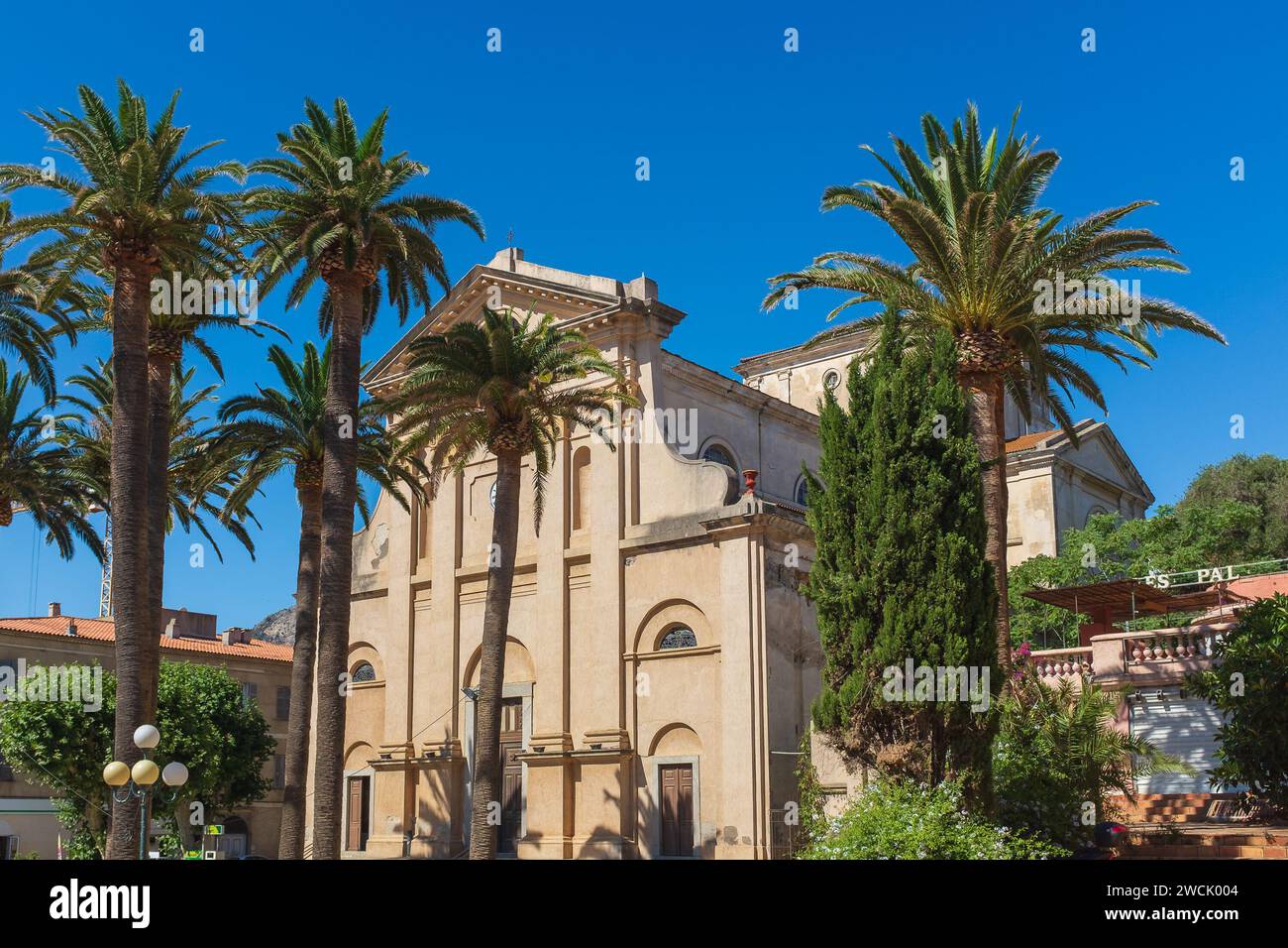 Ile Rousse, Corsica, 2017. Place Pascal Paoli, date palms (Phoenix ...