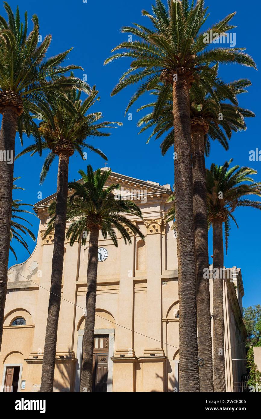 Ile Rousse, Corsica, 2017. Place Pascal Paoli, date palms (Phoenix ...