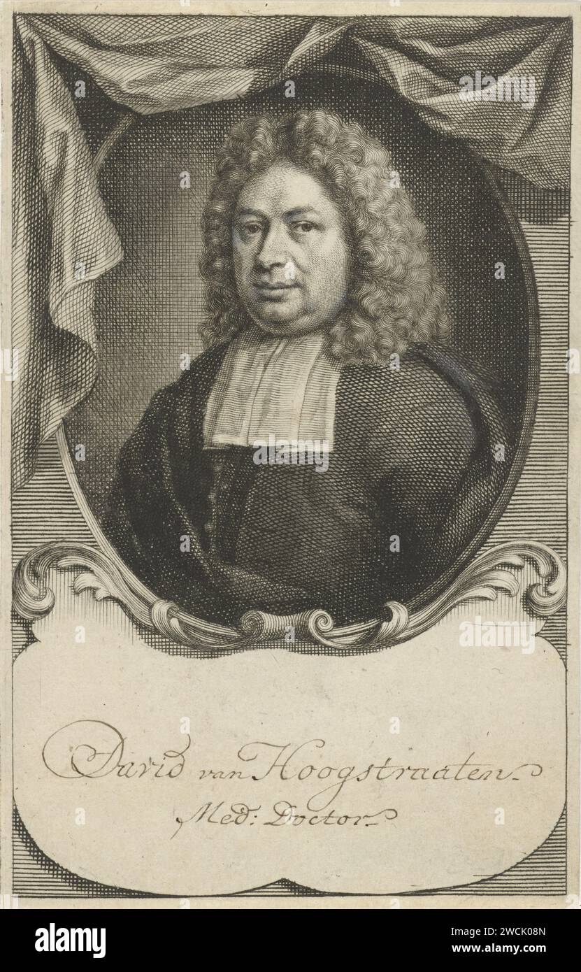 Portrait of David Fransz. Van Hoogstraten, Jacob Houbraken, After ...