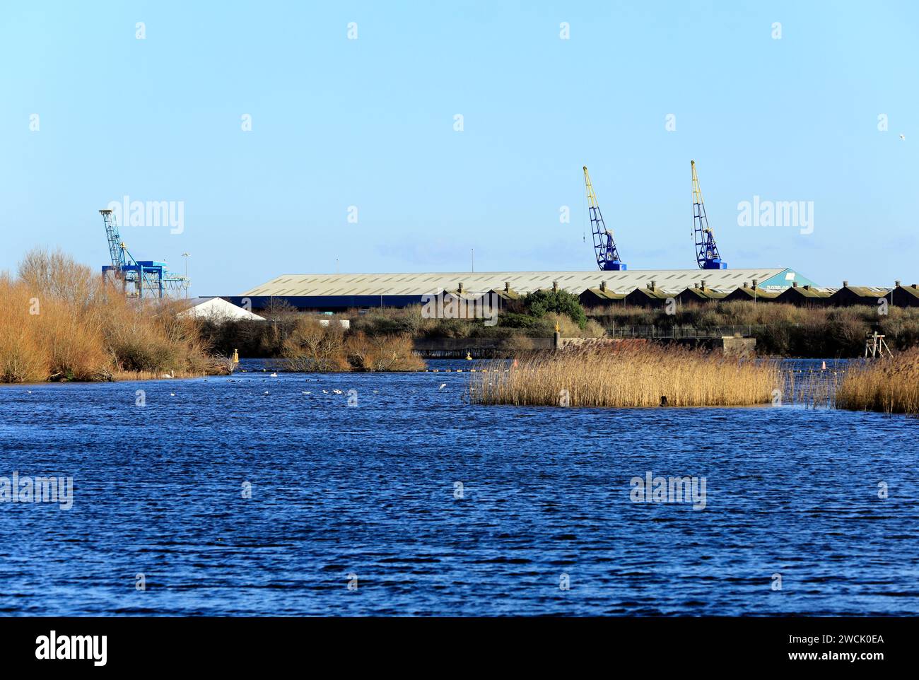 Cardiff Bay Wetlands Nature Reserve, Cardiff Bay, South Wales, UK Stock ...