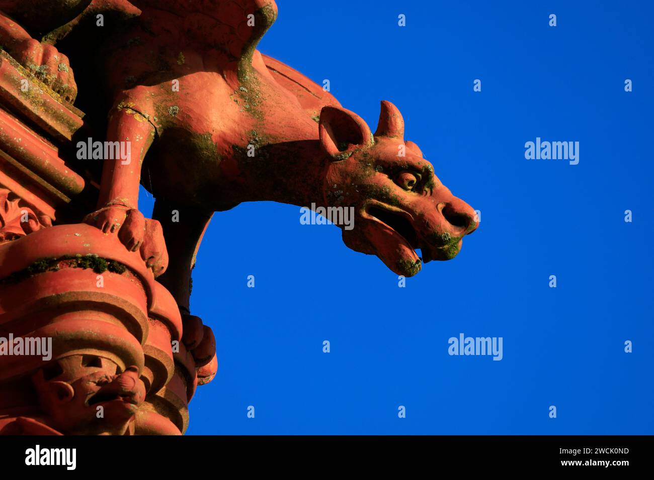 Gargoyle architecture hi-res stock photography and images - Alamy