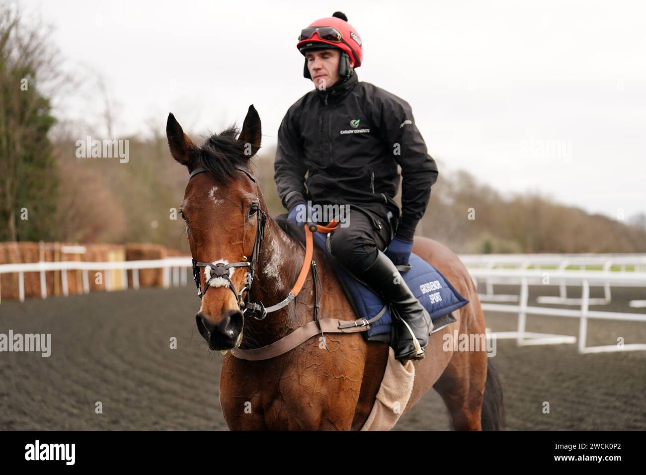 File photo dated 28-02-2023 of Love Envoi. Harry Fry is keeping his fingers crossed Lingfield's ...