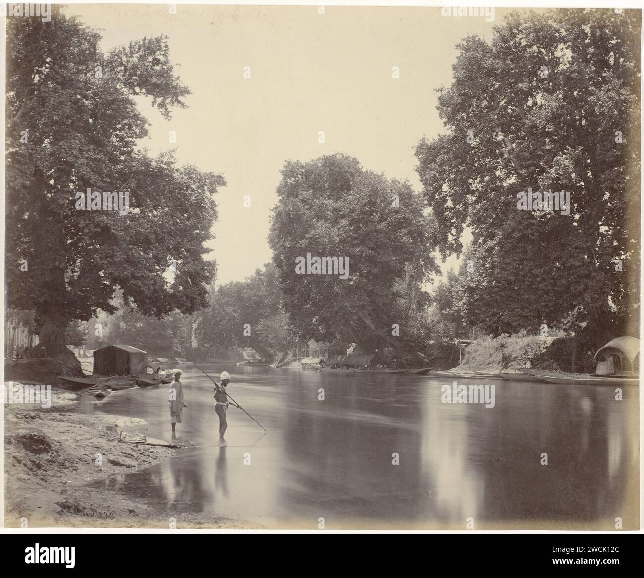 Trees on the Dal lake canal, with two fishermen in the foreground ...