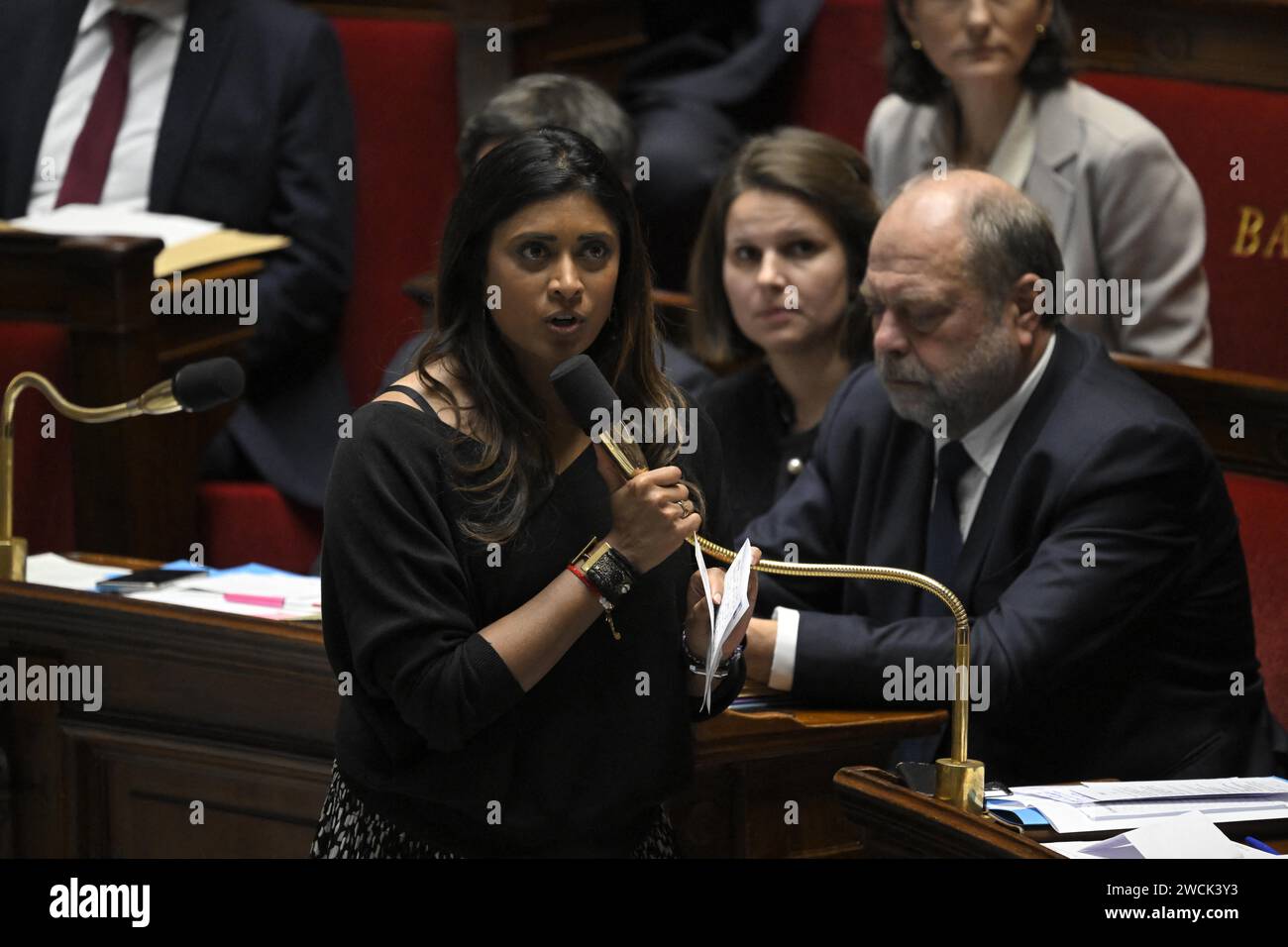 French Government's Spokesperson Prisca Thevenot during a session of ...