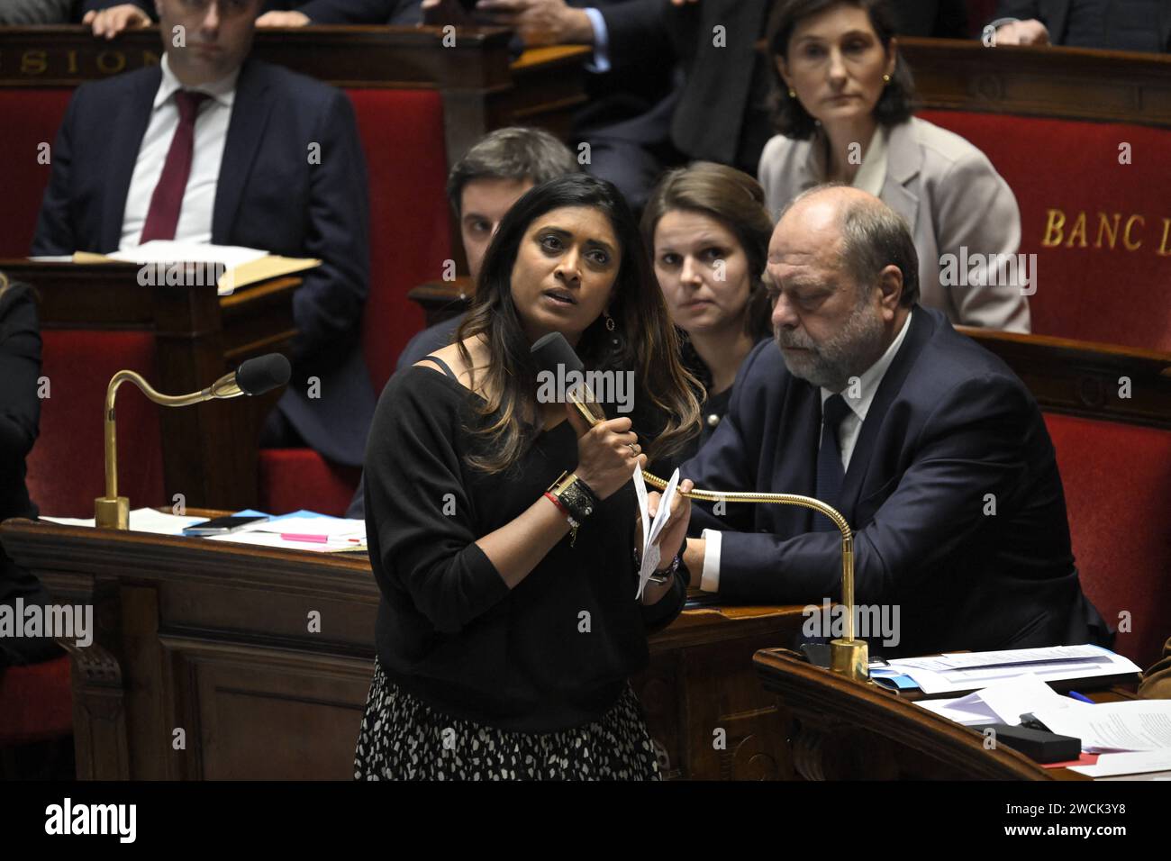 French Government's Spokesperson Prisca Thevenot during a session of ...