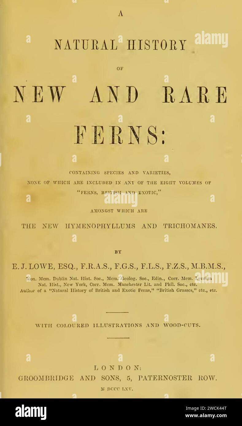 A natural history of new and rare ferns. 1862, reprint 1865 - Edward ...
