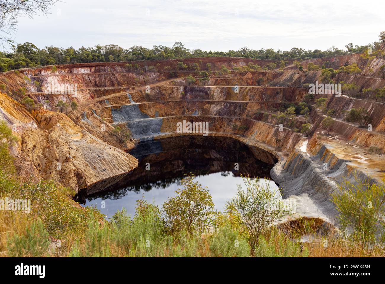 Gold Mine (Bally) - Undumped Wiki😽 Descubra o mundo de entretenimento e ...