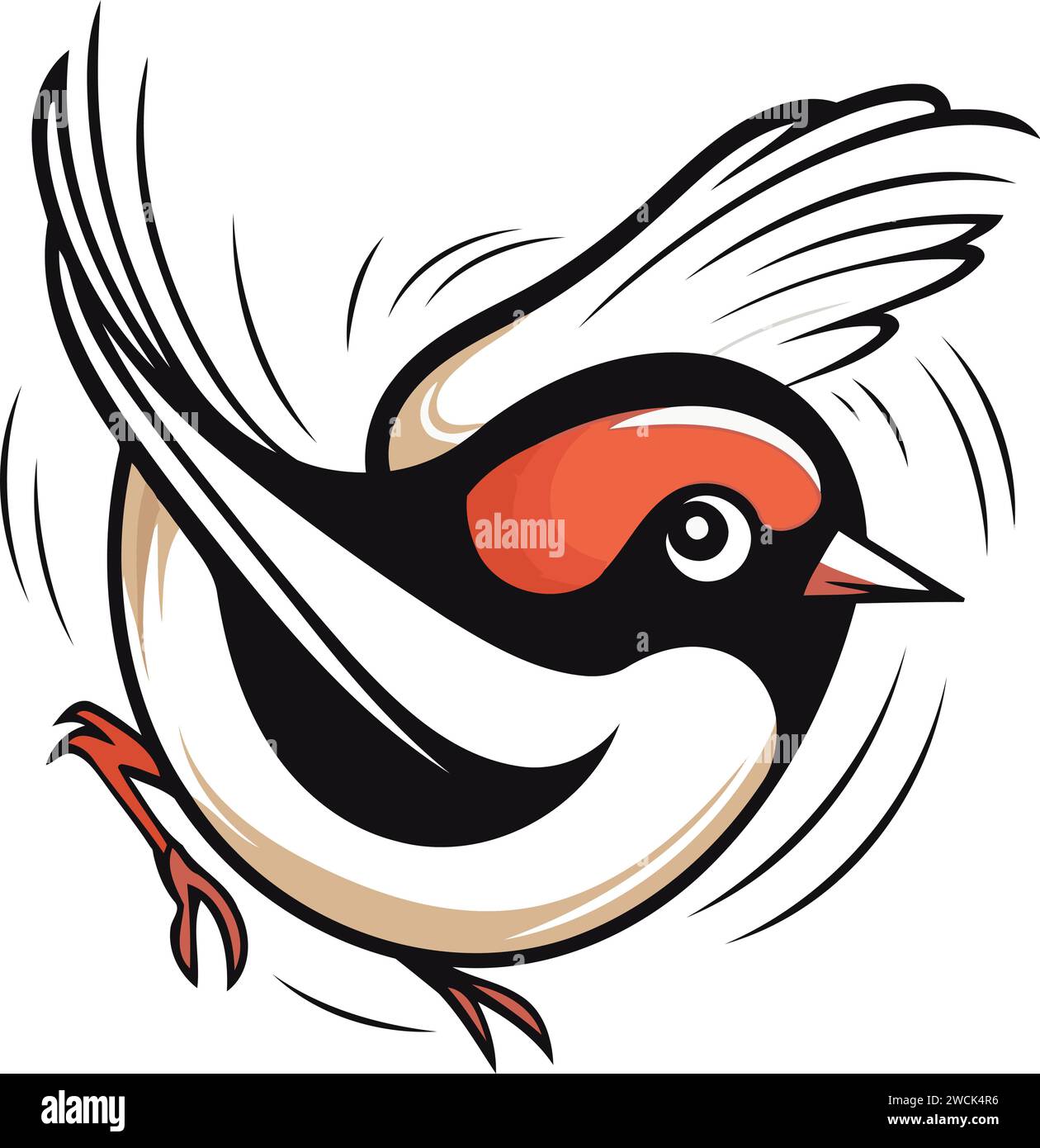 Bullfinch isolated on white background. Hand drawn vector illustration ...