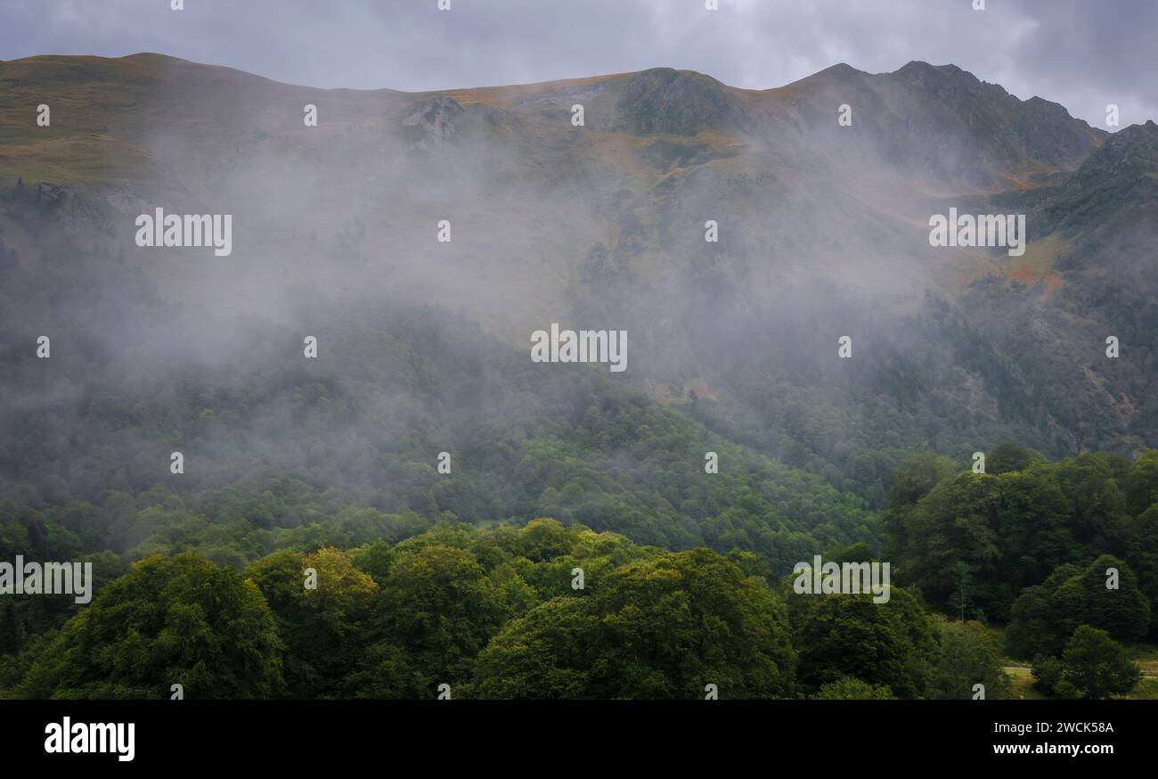 Aran Valley, Spain, forests, rivers, waterfalls, mountains Stock Photo ...