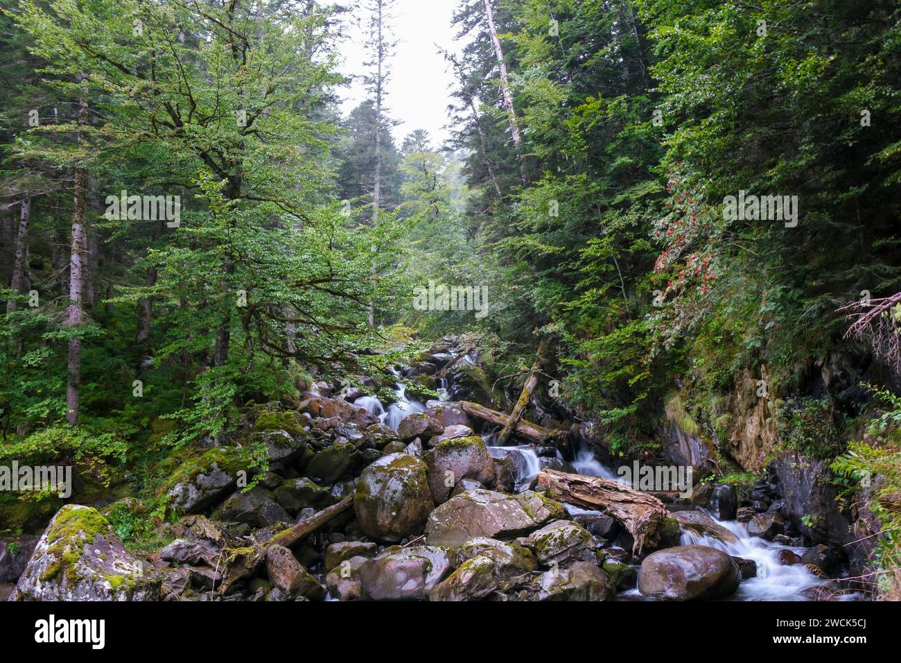 Aran Valley, Spain, forests, rivers, waterfalls, mountains Stock Photo ...