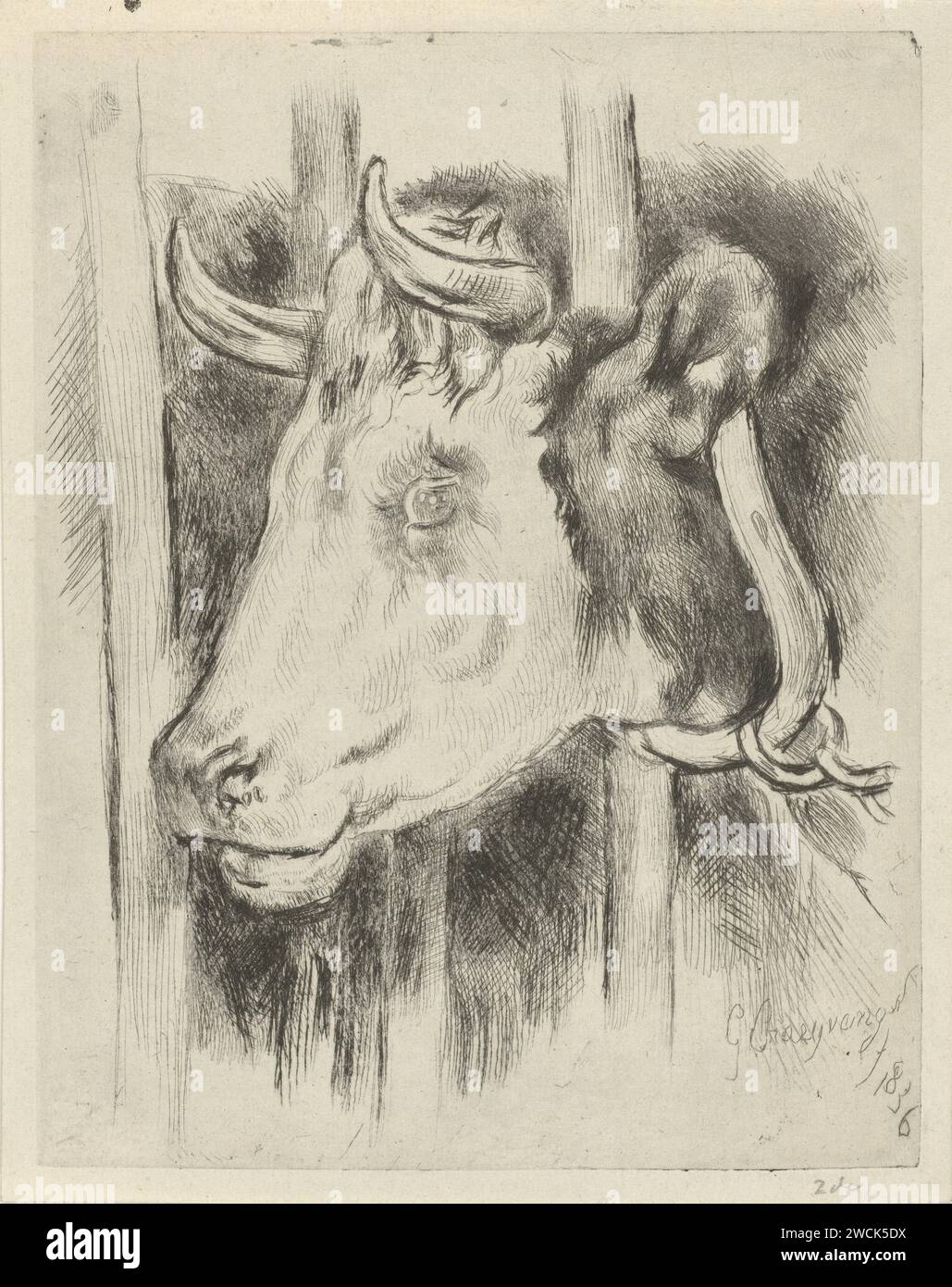 Kop van A cow, Gijsbertus Craeyvanger, 1836 print head of a cow. To the ...