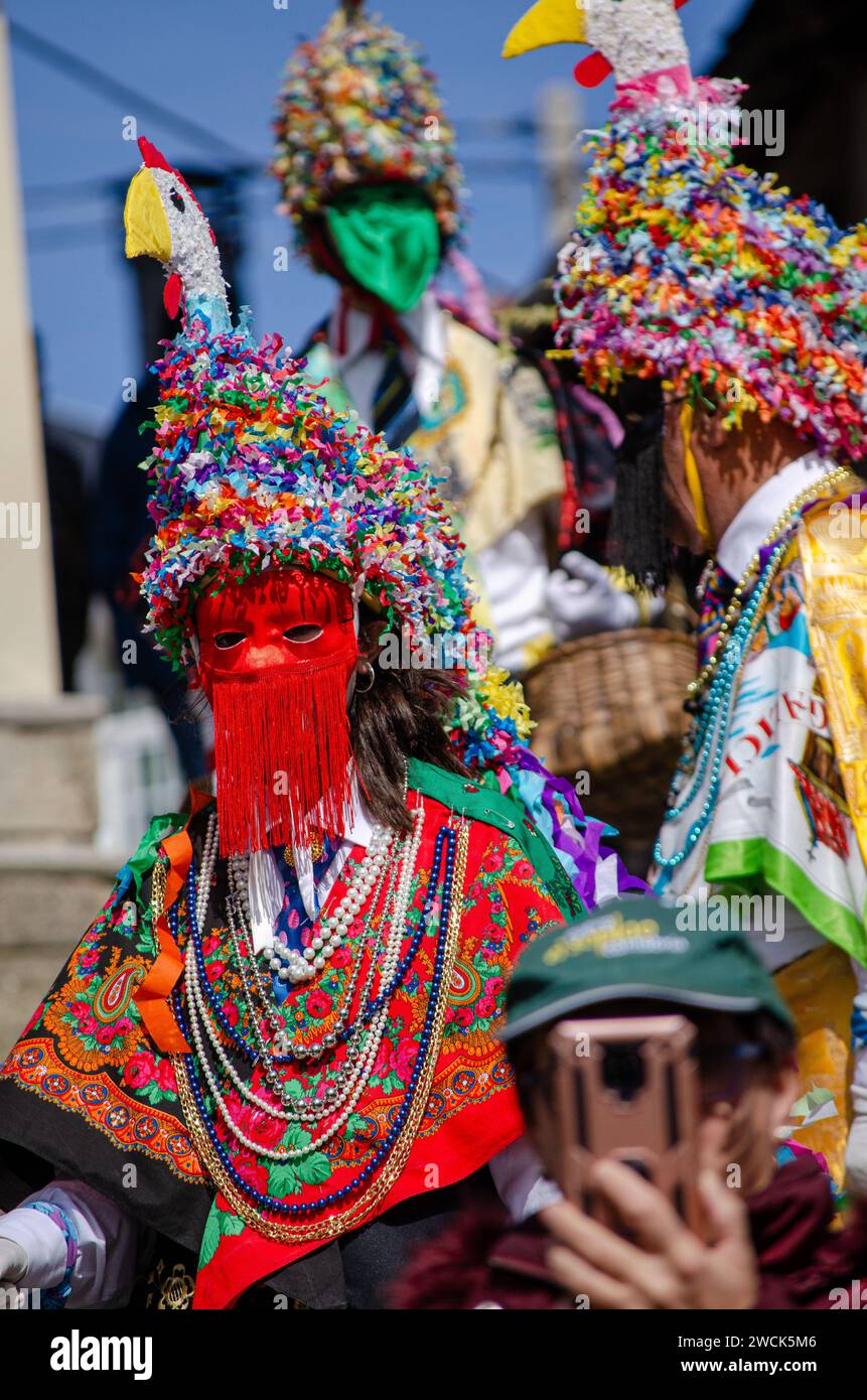 Galos de San Pedro: the traditional costume of the carnival of A ...