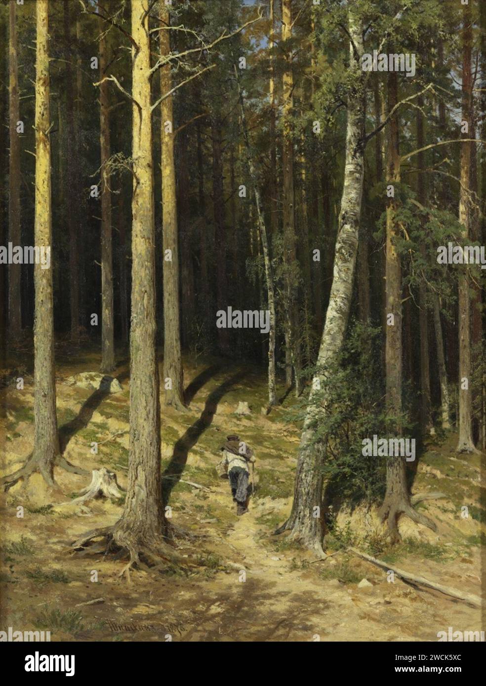 A pine forest (Shishkin Stock Photo - Alamy