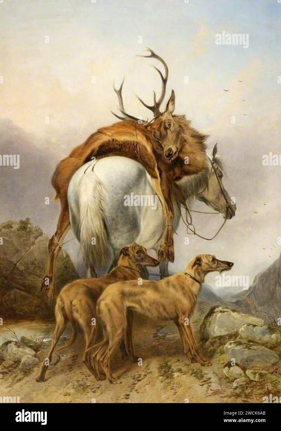 Carrying a dead deer hi-res stock photography and images - Alamy