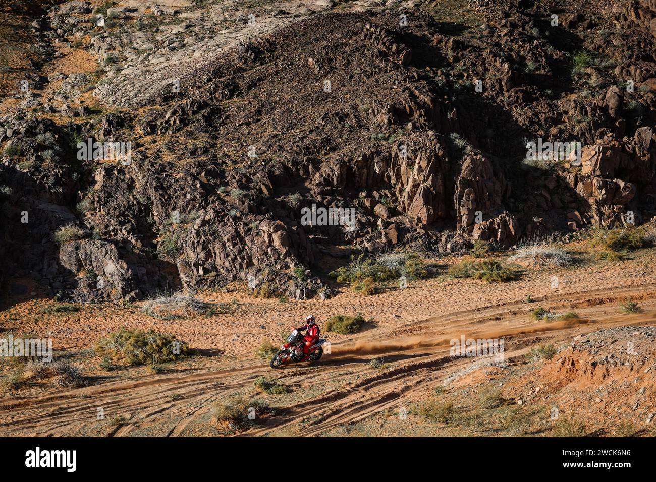 24 MULEC Toni (svk), BAS World KTM Racing Team, KTM, Moto, FIM W2RC, action during the Stage 9 ...
