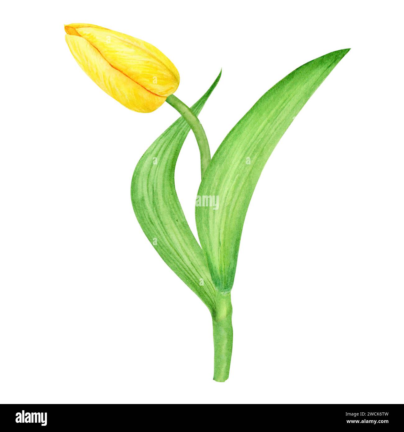 Canada day clip art hi-res stock photography and images - Alamy